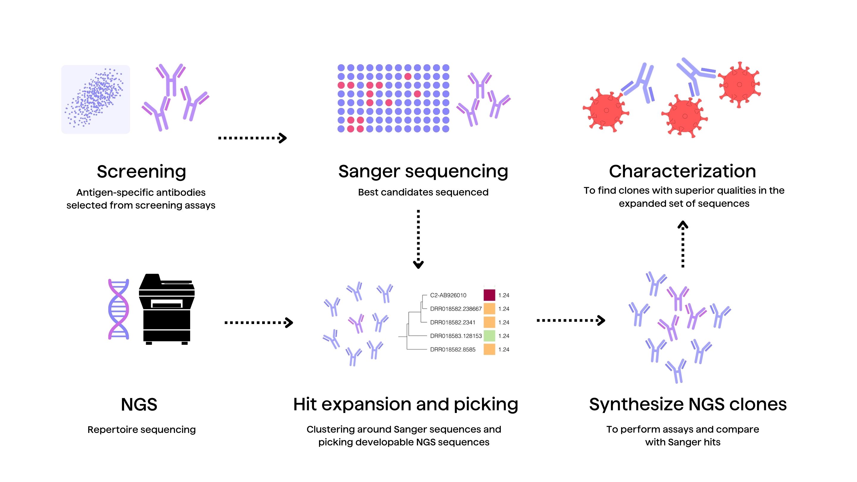 Antibody hit expansion by mining antibodies in large NGS repertoires